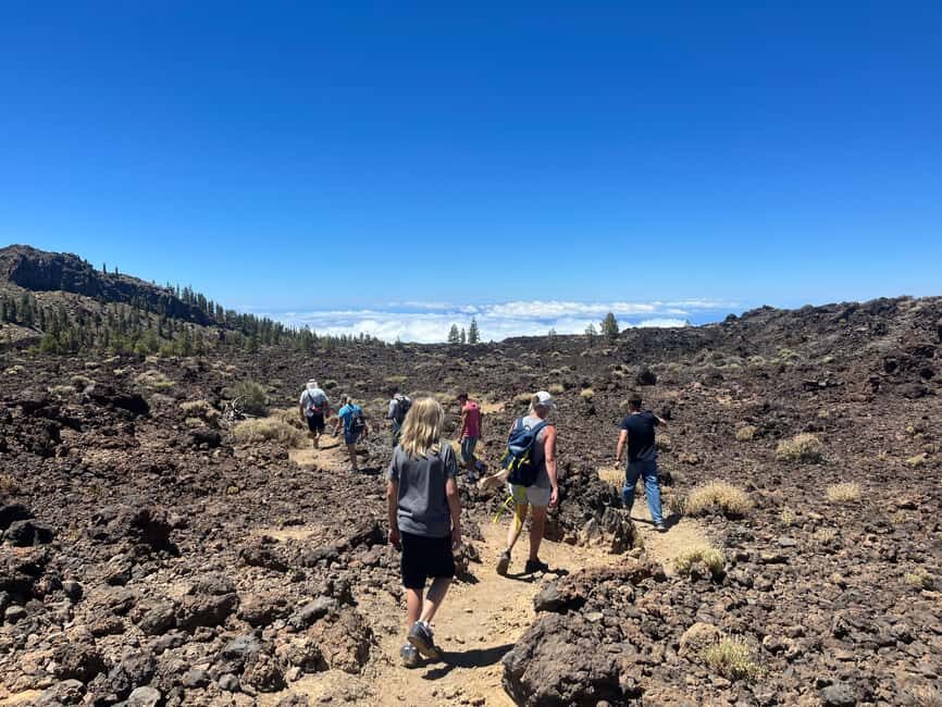 Discover Mount Teide and the Arenas Negras volcano on an intimate tour from the north. - Why This Tour Stands Out