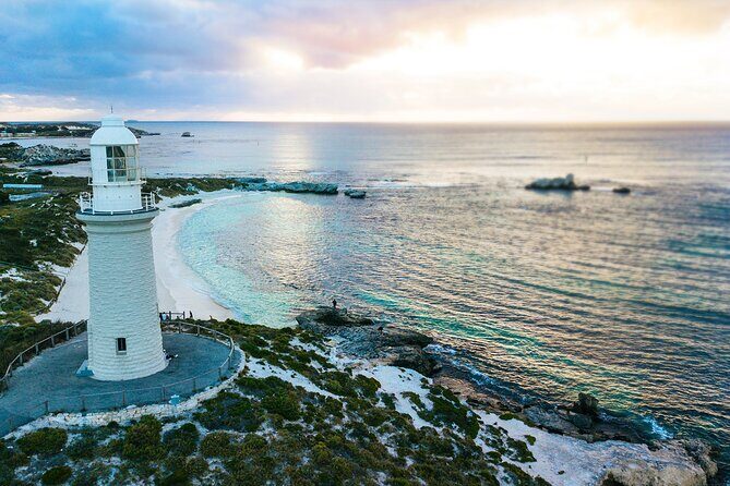 Discover Rottnest with Ferry & Bus Tour - Who Should Consider This Tour?