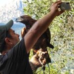 Discover the fantastic world of birds of prey in the Pollino National Park. - What to expect during your visit