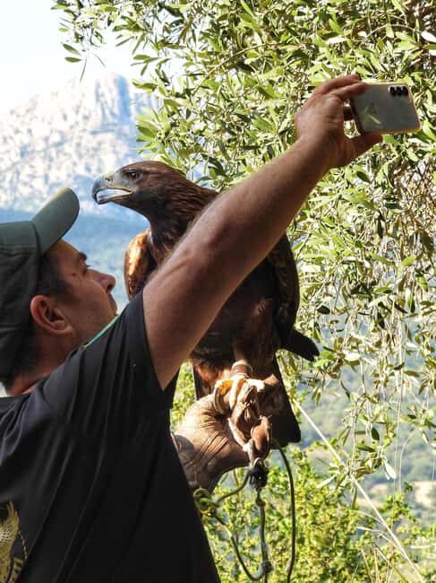 Discover the fantastic world of birds of prey in the Pollino National Park. - What to expect during your visit