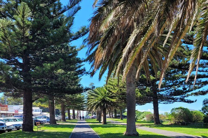 Discover Victor Harbor Walking Tour - Who Should Consider This Tour?