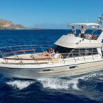 Discover whales in Tenerife: exclusive yacht tour with swimming and lunch. - What Makes This Tour Stand Out?