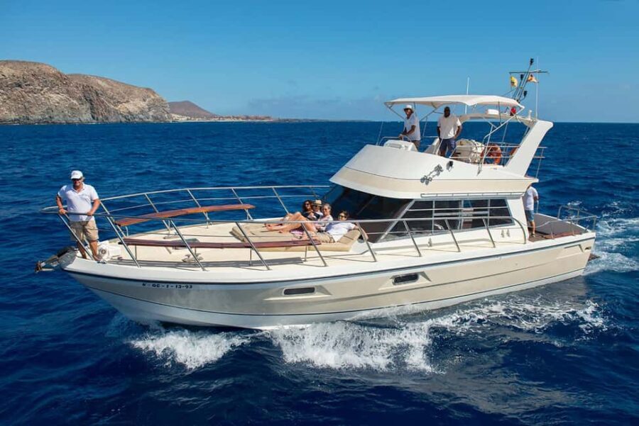 Discover whales in Tenerife: exclusive yacht tour with swimming and lunch. - What Makes This Tour Stand Out?