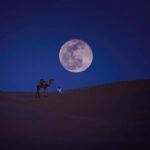 Doha: Beaches visit with Dune Bashing and SandBoarding - Practical Tips for Travelers