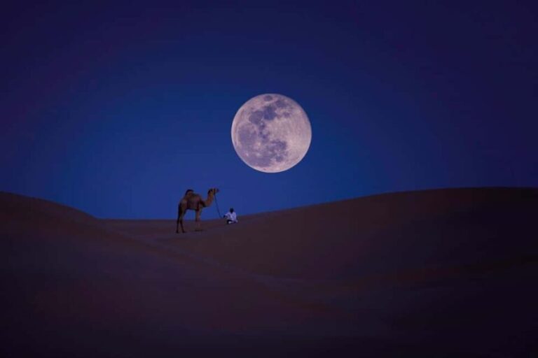 Doha: Beaches visit with Dune Bashing and SandBoarding - Practical Tips for Travelers