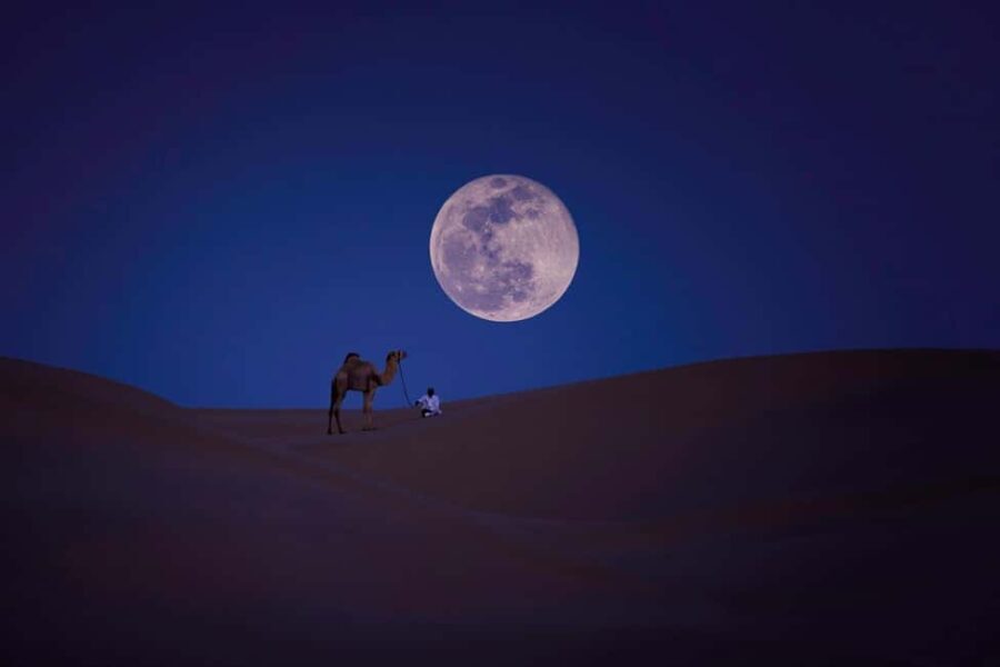 Doha: Beaches visit with Dune Bashing and SandBoarding - Practical Tips for Travelers