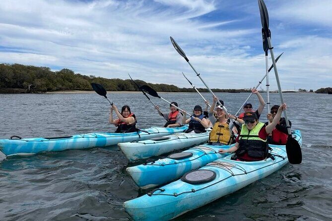 Dolphin Sanctuary Kayak Tour Adelaide - What the Guides Do for You