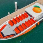 DOLPHIN WATCHING & BENAGIL CAVE TOUR FROM LAGOS - DUAL TRIP - The Itinerary Breakdown: What You Can Expect