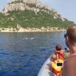 Dolphins: Dolphin Watching Tour and Capo Figari by Raft - Real Travelers’ Perspectives