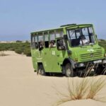 Doñana: 4x4 tour of the national park and beaches - What makes this tour worth considering?