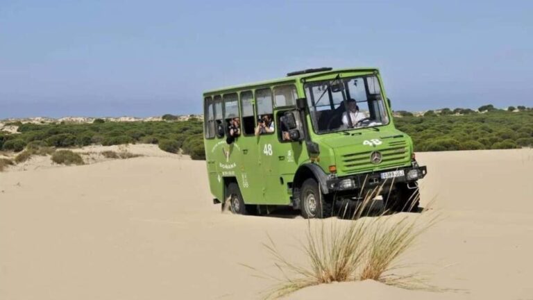 Doñana: 4x4 tour of the national park and beaches - What makes this tour worth considering?