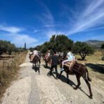 Donkey Ride - Cretan Country - What the Tour Entails