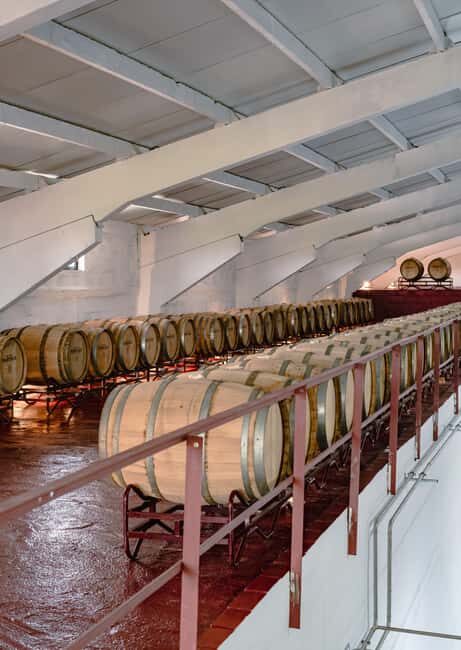 Douro: Martha's Cellar - Visit and Tawny Tasting - Value and Practicality