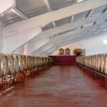 Douro: Martha's Selection - Premium Wine Tour and Tasting - FAQs