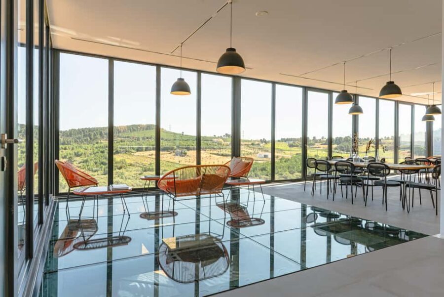 Douro: Martha's Welcome - Wine Tour and Tasting - Why This Tour Stands Out