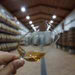 Douro: Quinta Levandeira do Roncão Tour & Wine Tasting - Final Thoughts: Is This Tour Worth It?