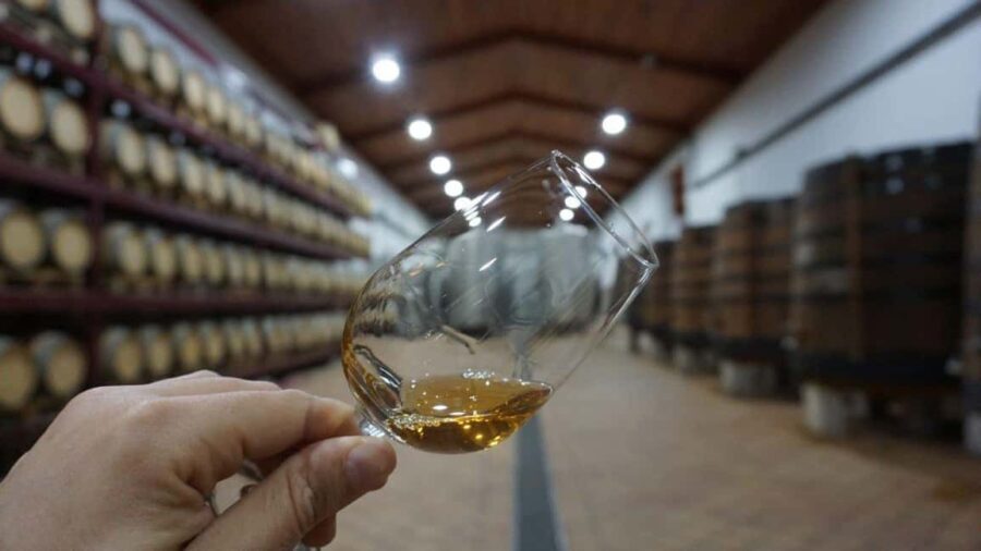Douro: Quinta Levandeira do Roncão Tour & Wine Tasting - Final Thoughts: Is This Tour Worth It?