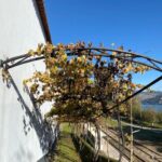 Douro triathlon from Porto - car, walk and train - A Close Look at the Douro Triathlon Experience