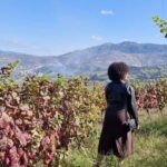 Douro Valley: 2 Vineyard Visits with Lunch and River Cruise - The Practical Side: What to Know