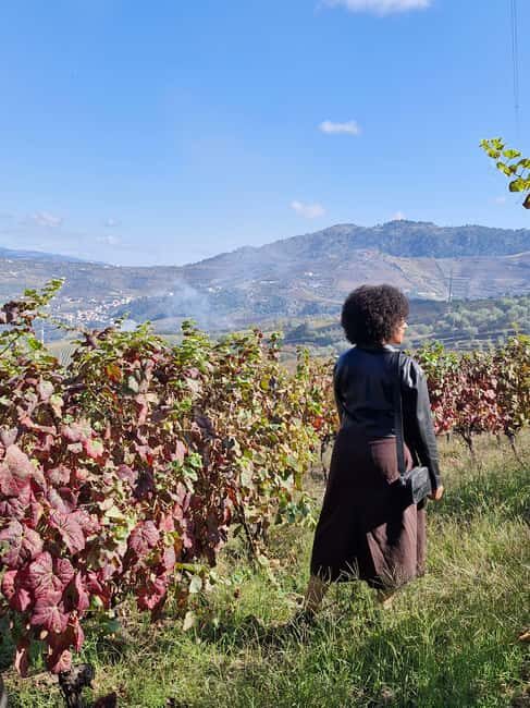 Douro Valley: 2 Vineyard Visits with Lunch and River Cruise - The Practical Side: What to Know