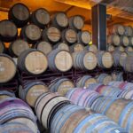 Douro Valley: 2 Wineries, Lunch & Boat - An In-Depth Look at the Douro Experience