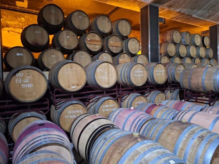 Douro Valley: 2 Wineries, Lunch & Boat - An In-Depth Look at the Douro Experience
