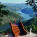 Douro Valley: Cruise & vineyard discovery from Porto or Aveiro - What To Expect on the Douro Valley Tour