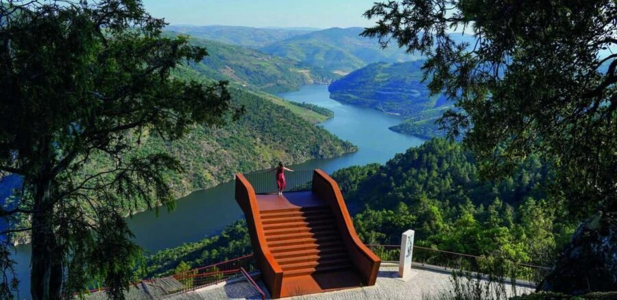 Douro Valley: Cruise & vineyard discovery from Porto or Aveiro - What To Expect on the Douro Valley Tour