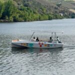 Douro Valley: Guided Tour with Wine Tasting and Lunch - Pricing and value