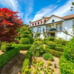 Douro Valley: Quinta Santa Júlia Tour, Wine Tasting & Lunch - The Vineyards and Surroundings