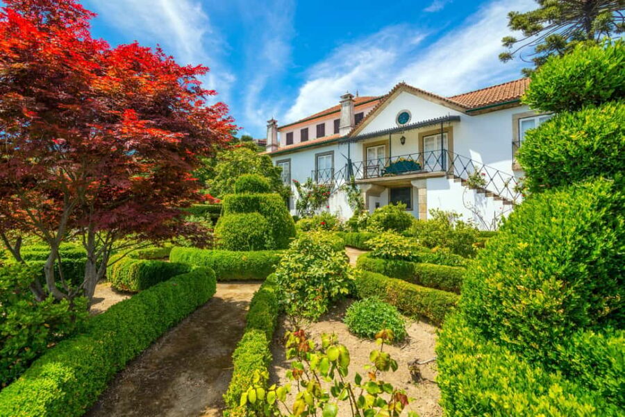 Douro Valley: Quinta Santa Júlia Tour, Wine Tasting & Lunch - The Vineyards and Surroundings