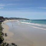 Dunedin Nature & City Tour  Full Day Cruise Excursion - Practical Tips for Travelers