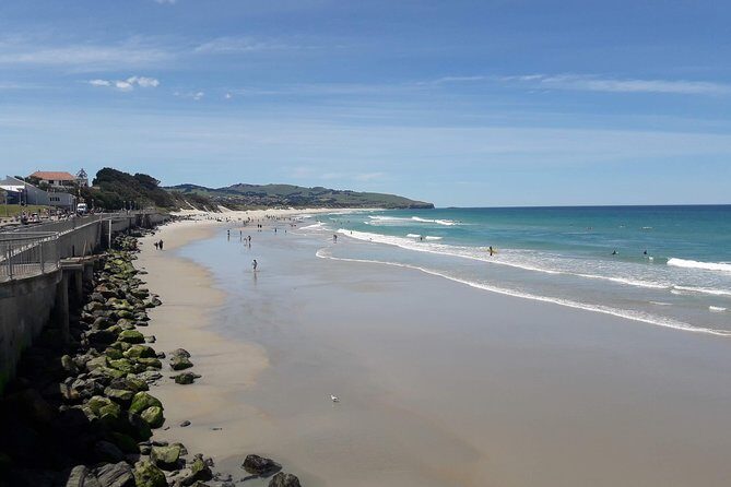 Dunedin Nature & City Tour  Full Day Cruise Excursion - Practical Tips for Travelers