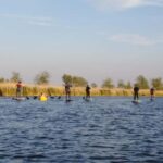 Early Bird Standup Paddletour to Fishing Harbours - Who Will Love This Experience?
