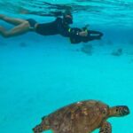 Eco Friendly Sea Scooter Turtle Tour in Rarotonga - The Itinerary and What You’ll Experience