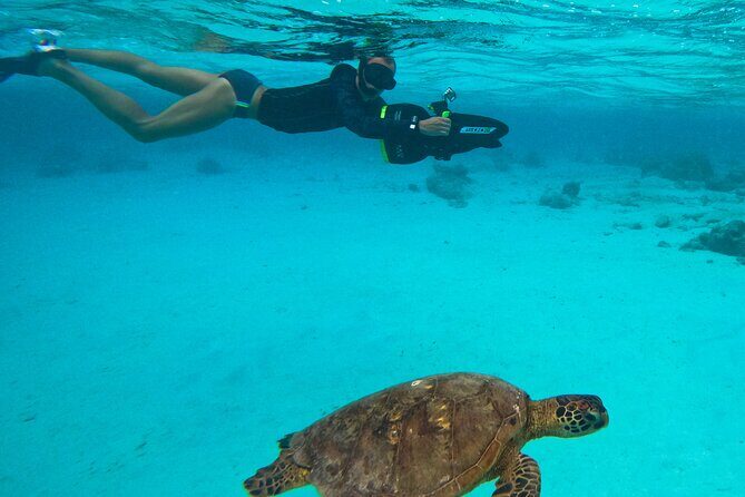 Eco Friendly Sea Scooter Turtle Tour in Rarotonga - The Itinerary and What You’ll Experience