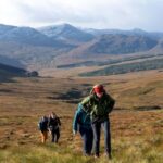 Edinburgh: Highland Cow Hike - Authentic Experiences and Authenticity