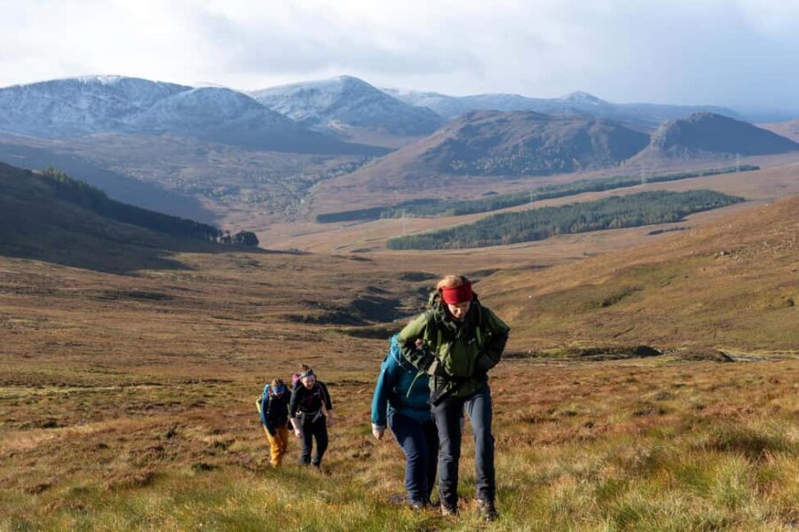 Edinburgh: Highland Cow Hike - Authentic Experiences and Authenticity