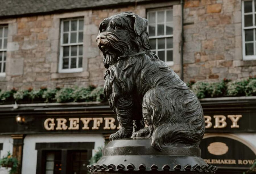 Edinburgh Old Town History Walking Tour - Value and Practicalities