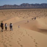 El pinacate: 4-day tour of the craters and Altar desert - What Makes This Tour Stand Out