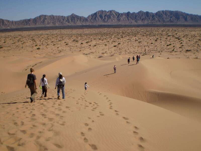 El pinacate: 4-day tour of the craters and Altar desert - What Makes This Tour Stand Out