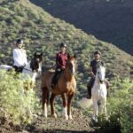 El Salobre: Horse Riding Adventure with Transfer Options - Discovering Gran Canaria on Horseback