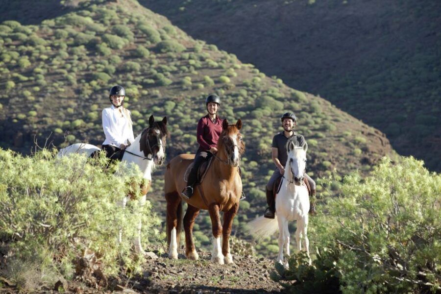 El Salobre: Horse Riding Adventure with Transfer Options - Discovering Gran Canaria on Horseback