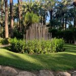 Elche: Entry Ticket Huerto del Cura National Artistic Garden - The Experience in Context