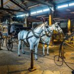 Entry Ticket at Historic Village Herberton - The Highlights of the Itinerary