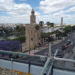 Essential Seville with Tapas: Santa Cruz, Plaza de España, and Local Flavors - What to Expect in Practice