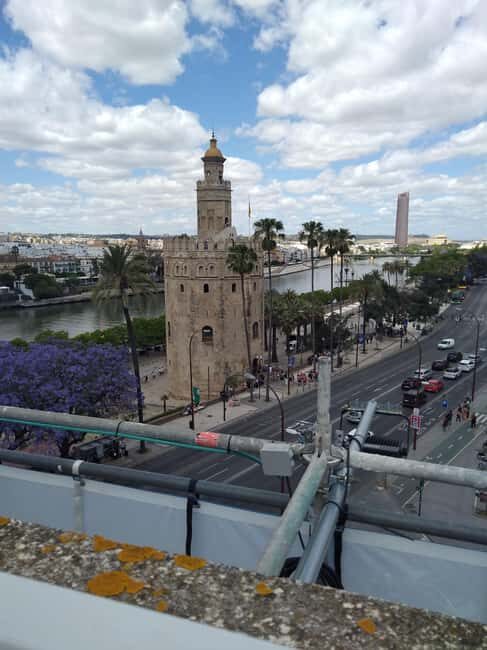 Essential Seville with Tapas: Santa Cruz, Plaza de España, and Local Flavors - What to Expect in Practice
