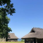 Estonian Open Air Museum  Cultural VIP tour from Tallinn - Practical Details & Traveler Tips