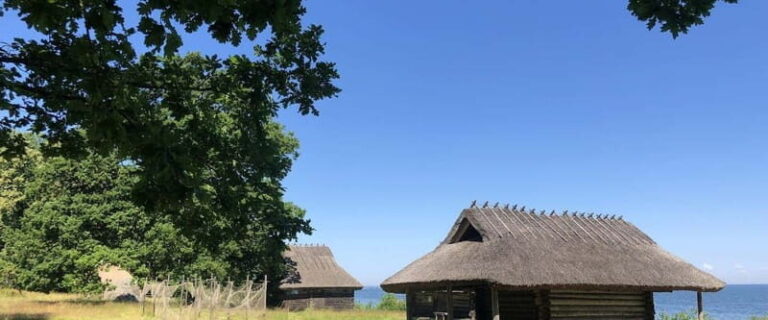Estonian Open Air Museum  Cultural VIP tour from Tallinn - Practical Details & Traveler Tips