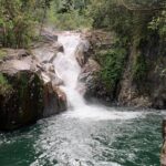 Eungella Platypus Tour - Who Would Love This Tour?